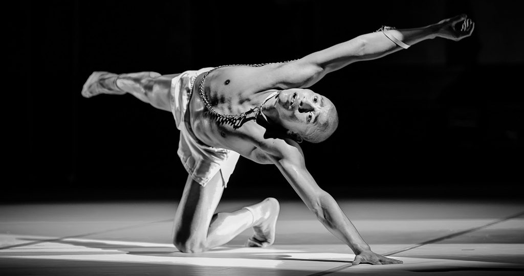 Valledelkas: '88 Azucenas y un perro': danza en estado puro