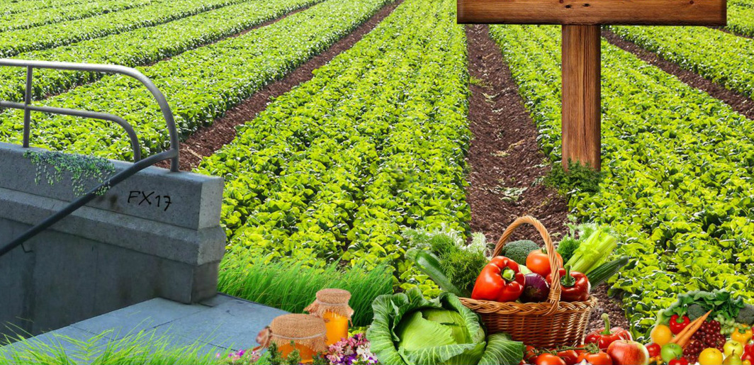 Valledelkas: Muestra Agroalimentaria en Puente de Vallecas